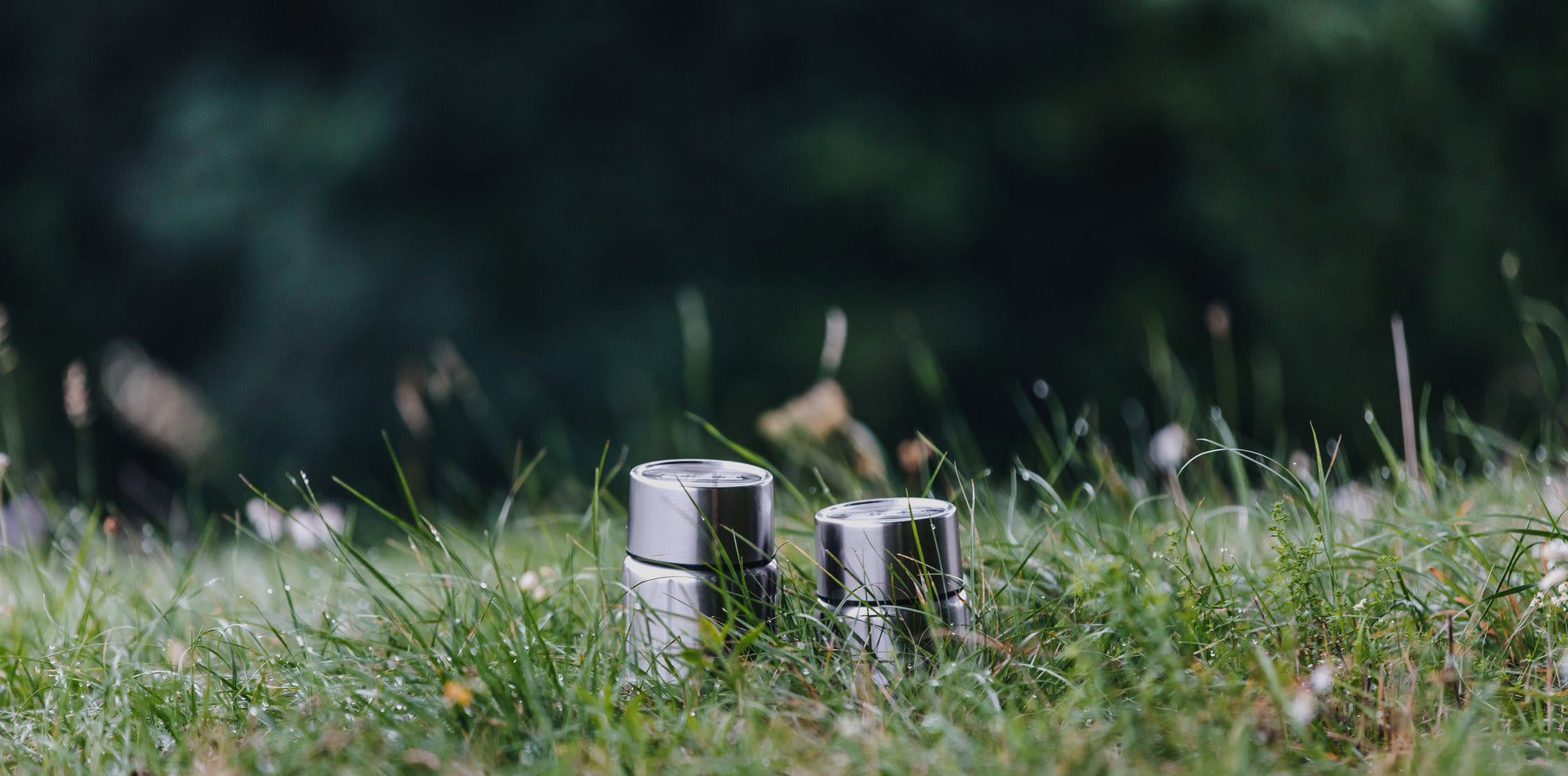 Fall essentials to fall in love with | SIGG