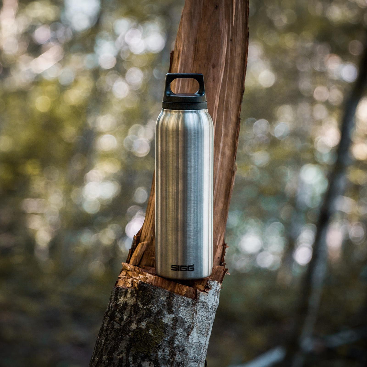 Spannende Trinkflasche Edelstahl Sigg Ebenbild
