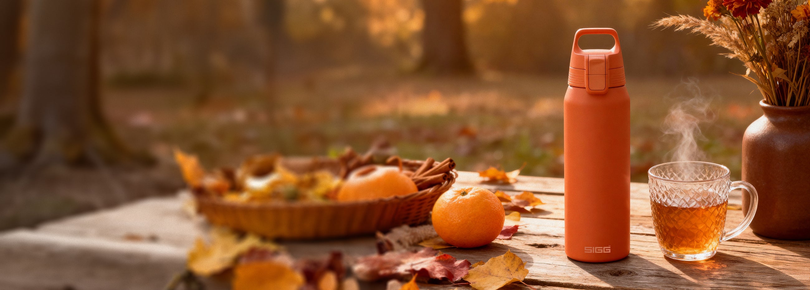 SIGG Water Bottles | Quality & Style since 1908